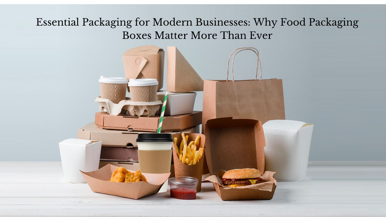 Food Packaging Boxes for Modern Food Businesses – hotpackwebstore.com